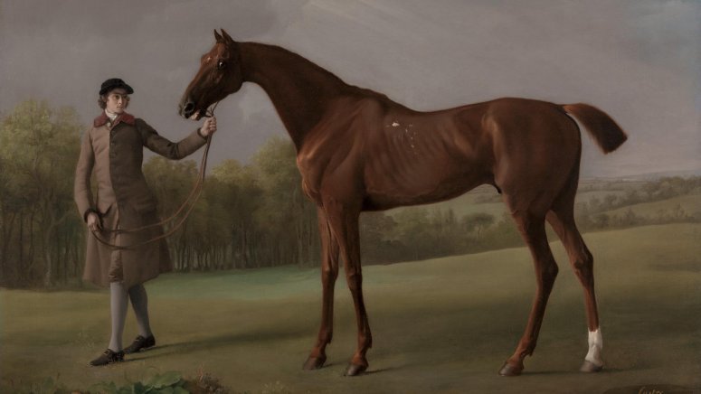 Angus Trumble, National Portrait Gallery