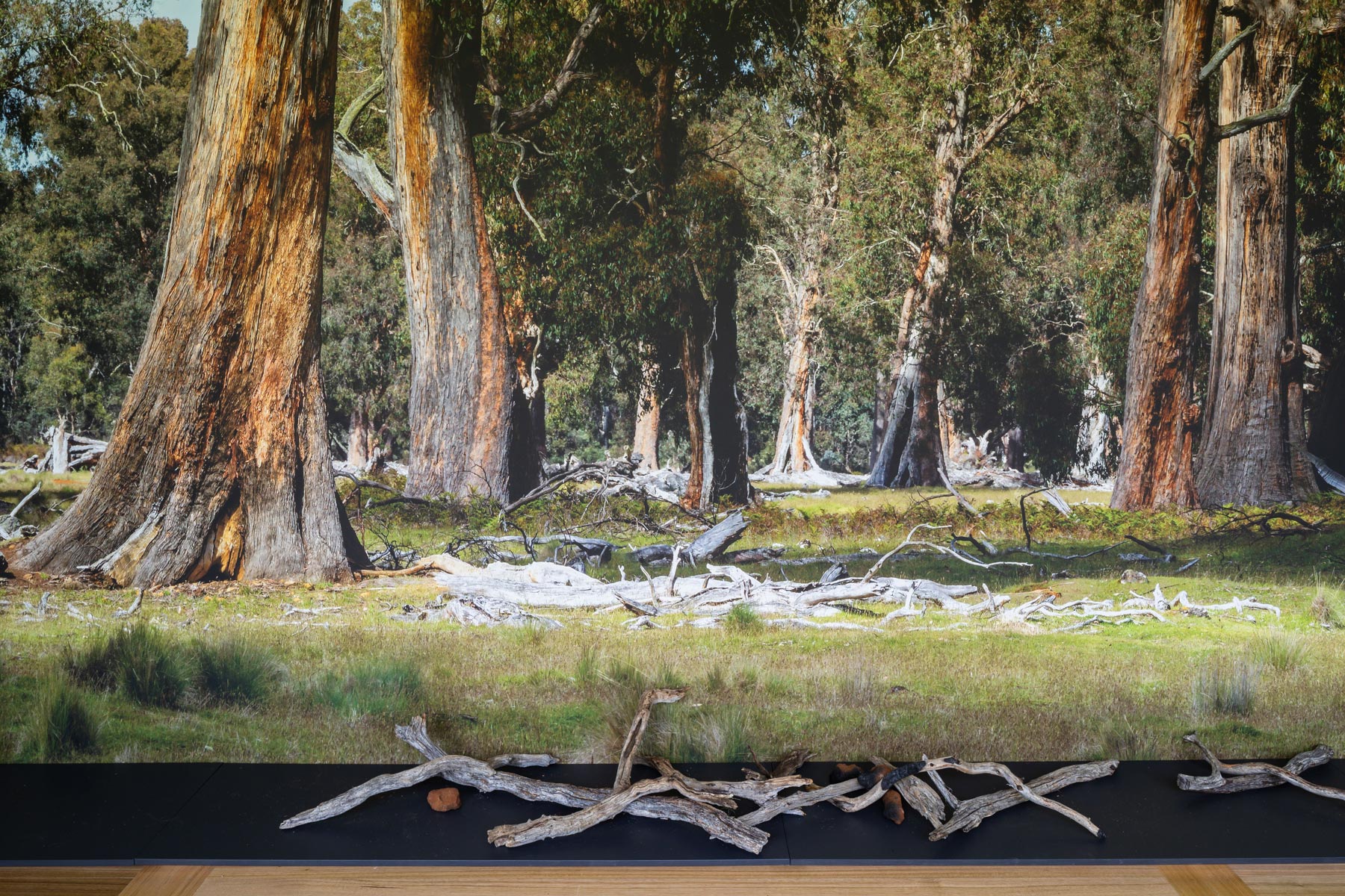 Julie Gough, National Portrait Gallery